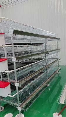 China Galvanized Steel H Type Battery Layer Cages with Modular Structure and Automated Feeding for Poultry Farming for sale