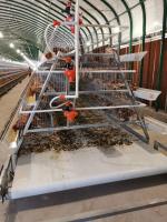 China KXD Automated Manure Drying System for Poultry Farms - Corrosion Resistant, High Space Utilization, 20-30 Year Lifespan for sale