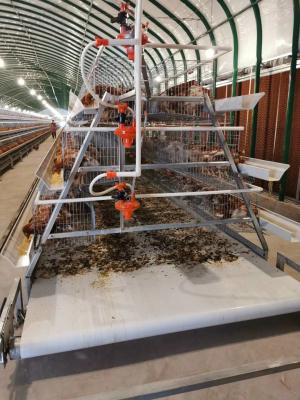 China KXD Automated Manure Drying System for Poultry Farms - Corrosion Resistant, High Space Utilization, 20-30 Year Lifespan for sale