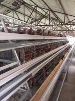 China KXD Automatic Battery Cages for Laying Hens - High-Cost-Effective Corrosion Resistant Poultry Layer Farm Equipment with Automated Egg Collection for sale