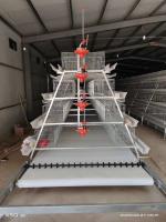 China KXD Automatic Battery Cages for Laying Hens - High-Cost-Effective Corrosion Resistant Poultry Layer Farm Equipment with Automated Egg Collection for sale