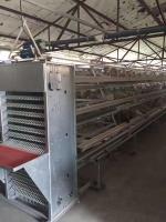 China KXD Automatic Battery Cages for Laying Hens - High-Cost-Effective Corrosion Resistant Poultry Layer Farm Equipment with Automated Egg Collection for sale