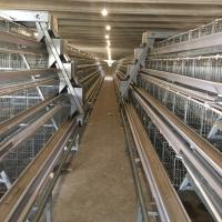 China H Section Steel Galvanized 4 Tiers Poultry Farm Cage for Chicken Layer and Broiler for sale