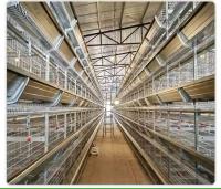 China H Section Steel Galvanized 4 Tiers Poultry Farm Cage for Chicken Layer and Broiler for sale