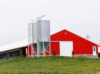 China Prefabricated Steel Structure Broiler Chicken House with Customizable Design Q345B Steel Material and Turnkey Solution for sale