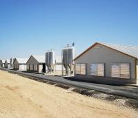 China Fully Automated Steel Structure Poultry House with Energy-Saving Ventilation and Large-Scale Design for sale