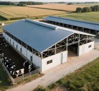 China Hot-DIP Galvanized Steel Structure Cow Shelter with Customizable Span and Earthquake Resistant Design for sale