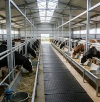 China Modular Quick-Assembly Windproof Waterproof Low-Maintenance Steel Poultry House and Livestock Steel Shed for sale