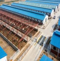 China Modular Quick-Assembly Windproof Waterproof Low-Maintenance Steel Poultry House and Livestock Steel Shed for sale