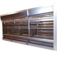 China Modular H Type Chicken Egg Layer Cage with Hot-dipped Galvanization and Automatic Feeding System for sale
