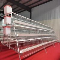 China Modular H Type Chicken Egg Layer Cage with Hot-dipped Galvanization and Automatic Feeding System for sale