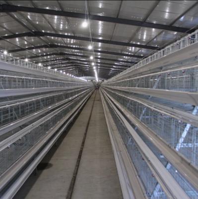 China Broiler Poultry Farm Equipment with Automatic Feeding System, Environment Control, and Cooling Pad for Chicken House for sale