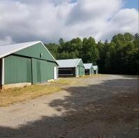 China Fast Deployment High-Strength Steel Poultry House with Modular Assembly for Automatic Chicken Farming for sale