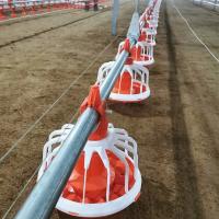 China Fully Automatic Smart Poultry Farm Construction with Galvanized Steel Frame and Modular Design for sale