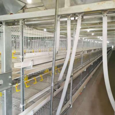 China Hot-Dip Galvanized Steel Broiler Cage System with 50-Year Warranty and Automatic Feeding System for Poultry Farming for sale