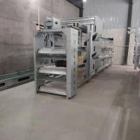 China Hot-Dip Galvanized Steel Broiler Cage System with 50-Year Warranty and Automatic Feeding System for Poultry Farming for sale