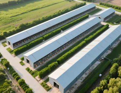 China Galvanized Weather-Resistant Steel Structure Prefabricated Chicken House with Easy Rinse and Disinfect Design for sale