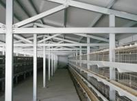 China Galvanized Weather-Resistant Steel Structure Prefabricated Chicken House with Easy Rinse and Disinfect Design for sale