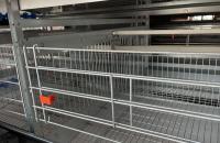 China Fully Automatic 4-Tier H-Type Battery Cage with Hot-Dip Galvanized Steel for Layer Hens and Broilers for sale