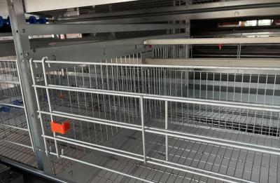China Fully Automatic 4-Tier H-Type Battery Cage with Hot-Dip Galvanized Steel for Layer Hens and Broilers for sale