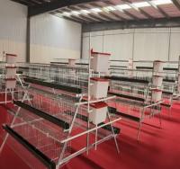 China Premium Chicken Coop for Backyard Poultry Farming and Egg Production for sale