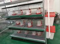 China Premium Chicken Coop for Backyard Poultry Farming and Egg Production for sale