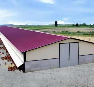 China Weather-Resistant Hot-Dip Galvanized Steel Structure Building with Modular Design and 20+ Years Lifespan for Poultry Farm Shed for sale