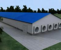 China Efficient Modular Poultry Farm Construction with Galvanized Steel Long-lasting Fast Assembly for sale