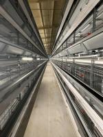 China Modular Frame Layer Cage System with Automatic Egg Collection and Corrosion Resistant Design for Poultry Farming for sale