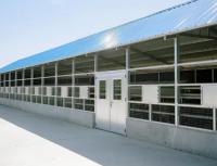 China Prefabricated Steel Structure Chicken Coop with Strong Wind Resistance and Reduced Environmental Pollution for sale