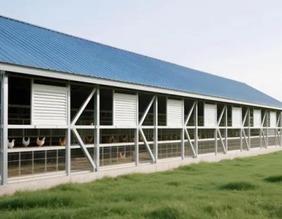 China Prefabricated Steel Structure Chicken Coop with Stable Structure and Labor Saving Design for sale