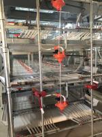 China Anti-Deformation Prefabricated Steel Structure Chicken House with Natural Lighting Design and Hot-Dip Galvanized Steel for sale