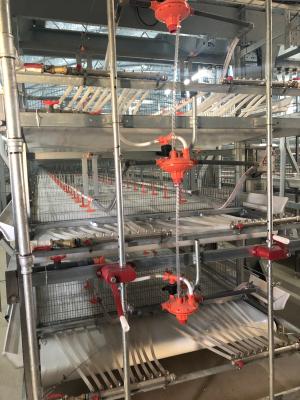 China Anti-Deformation Prefabricated Steel Structure Chicken House with Natural Lighting Design and Hot-Dip Galvanized Steel for sale