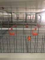 China Anti-Deformation Prefabricated Steel Structure Chicken House with Natural Lighting Design and Hot-Dip Galvanized Steel for sale