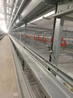 China Automatic Broiler Cage with Detachable Structure, Adjustable Supporting Frame, and Hot-Dip Galvanized Steel for Poultry Farming for sale
