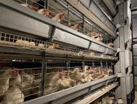 China Hot-DIP Galvanized Wind and Rain Resistant Poultry House Equipment with Integrated Nipple Drinker Line for sale