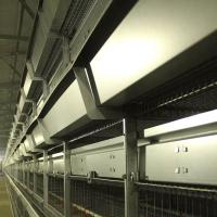 China Hot-DIP Galvanized Wind and Rain Resistant Poultry House Equipment with Integrated Nipple Drinker Line for sale