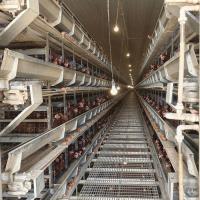 China Hot-dip Galvanized Automatic Feeding Corrosion Resistant Poultry Cage for Layer Chicken Farming for sale