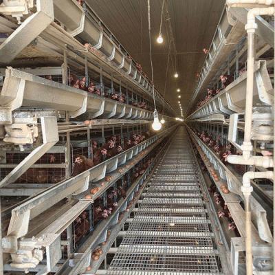 China Hot-dip Galvanized Automatic Feeding Corrosion Resistant Poultry Cage for Layer Chicken Farming for sale