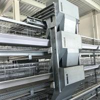 China Hot-dip Galvanized Automatic Feeding Corrosion Resistant Poultry Cage for Layer Chicken Farming for sale