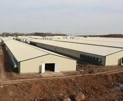 China Hot-Dip Galvanized Steel Poultry House with Automatic Feeding System and Customizable Size for sale