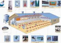 China Hot-Dip Galvanized Steel Poultry House with Automatic Feeding System and Customizable Size for sale