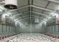 China Easy Assemble Wind and Rain Resistant Steel Structure Poultry House with Mesh Screened Windows for sale