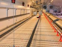 China Durable Steel Structure Automated Poultry Farm Construction with Integrated Automation and Prefab Design for sale