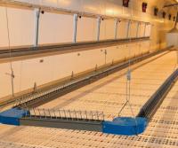 China Durable Steel Structure Automated Poultry Farm Construction with Integrated Automation and Prefab Design for sale