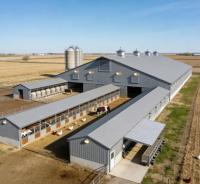 China Hot-DIP Galvanized Q355B Steel Poultry House with High-Ventilation for Livestock Farming for sale