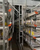 China Hot-dip Galvanized Automatic Broiler Chicken Cage System with Adjustable Vents and Corrosion Resistant Design for sale