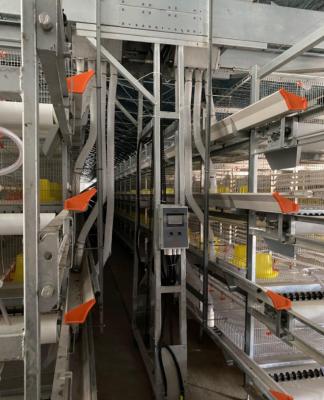 China Hot-dip Galvanized Automatic Broiler Chicken Cage System with Adjustable Vents and Corrosion Resistant Design for sale