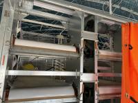 China Hot-dip Galvanized Automatic Broiler Chicken Cage System with Adjustable Vents and Corrosion Resistant Design for sale