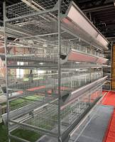 China Hot-dip Galvanized Automatic Broiler Chicken Cage System with Adjustable Vents and Corrosion Resistant Design for sale